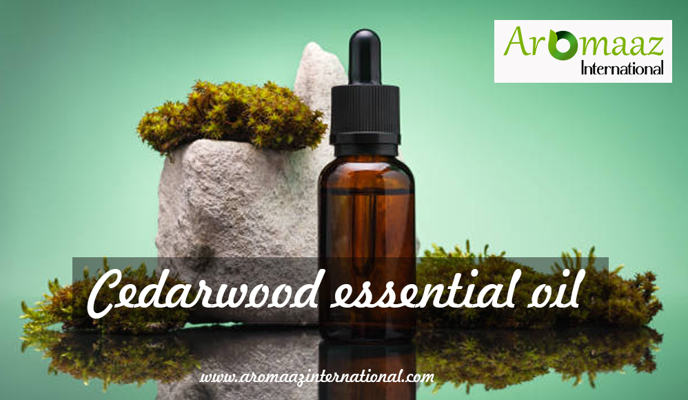 Cedarwood Essential Oil: Earth's Woody Elixir for Wellness - Aromaaz ...