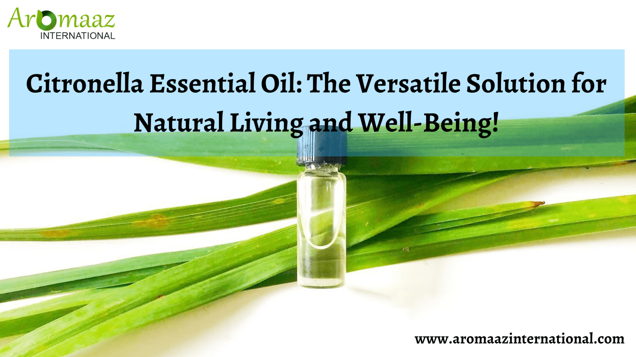 11 Best Essential Oils Brands in the World in 2024