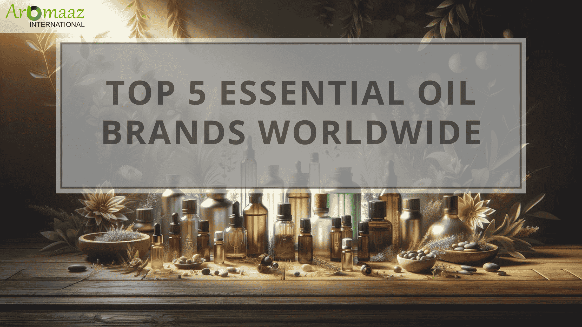 Top 5 Essential Oil Brands Worldwide