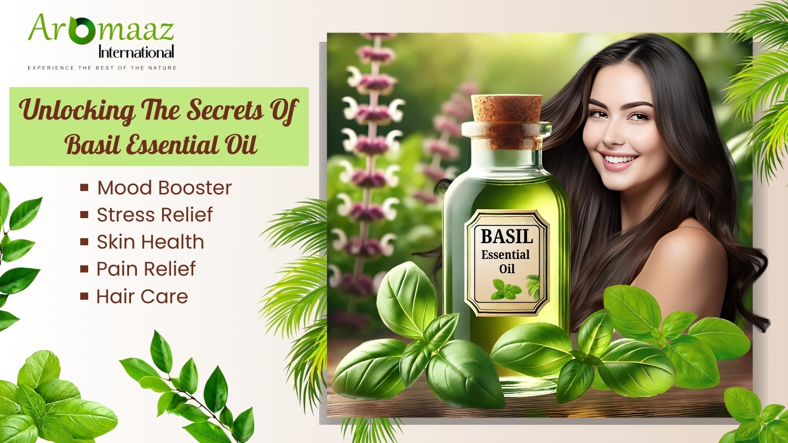 Unlocking the Secrets of Basil Essential Oil: Uses and Benefits