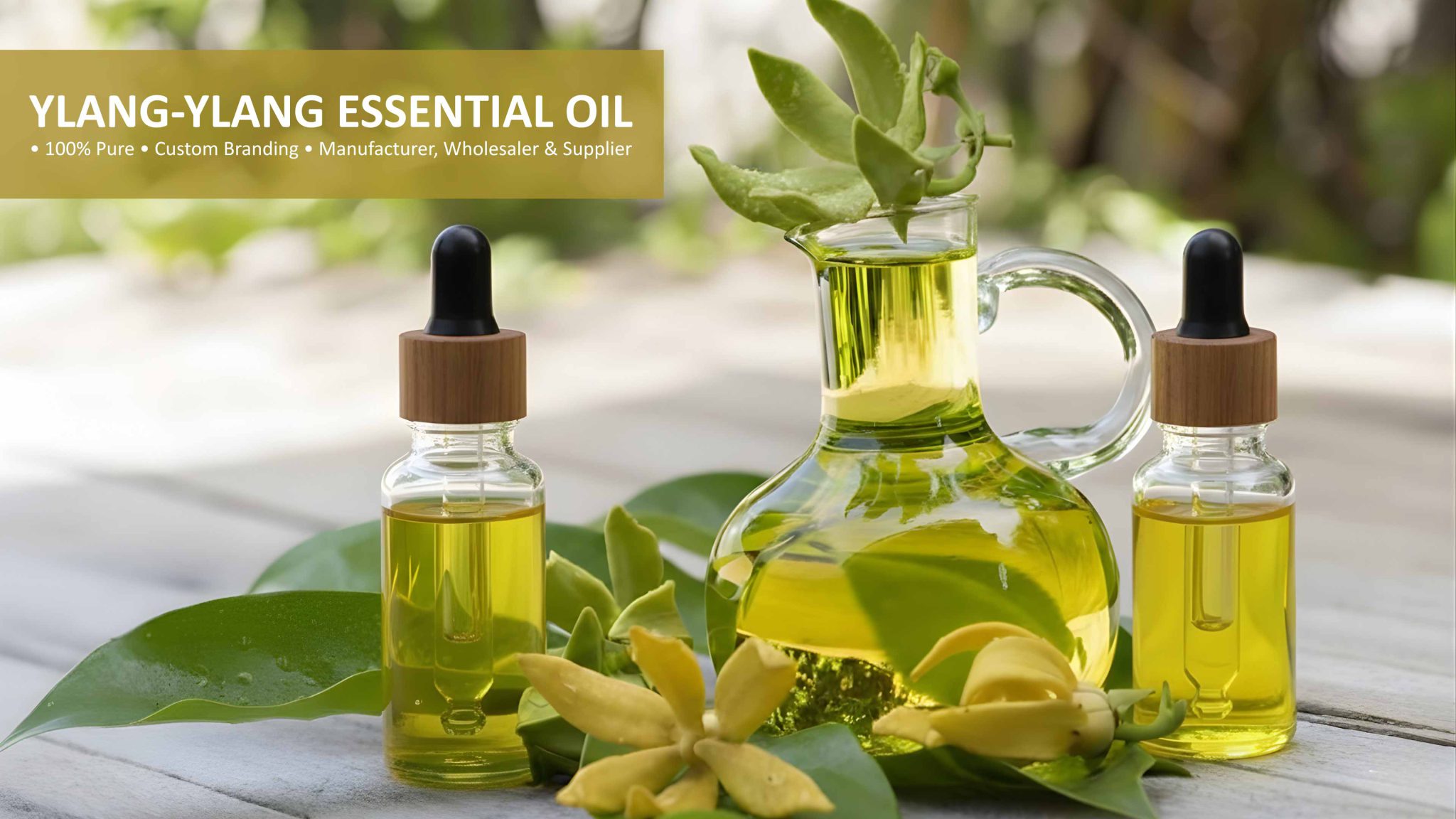 Ylang-Ylang Essential Oil: Manufacturer, Wholesaler and Supplier ...