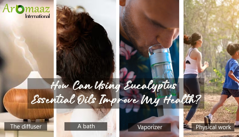 Blog - Vitalizes Your Skin With Eucalyptus Essential Oil