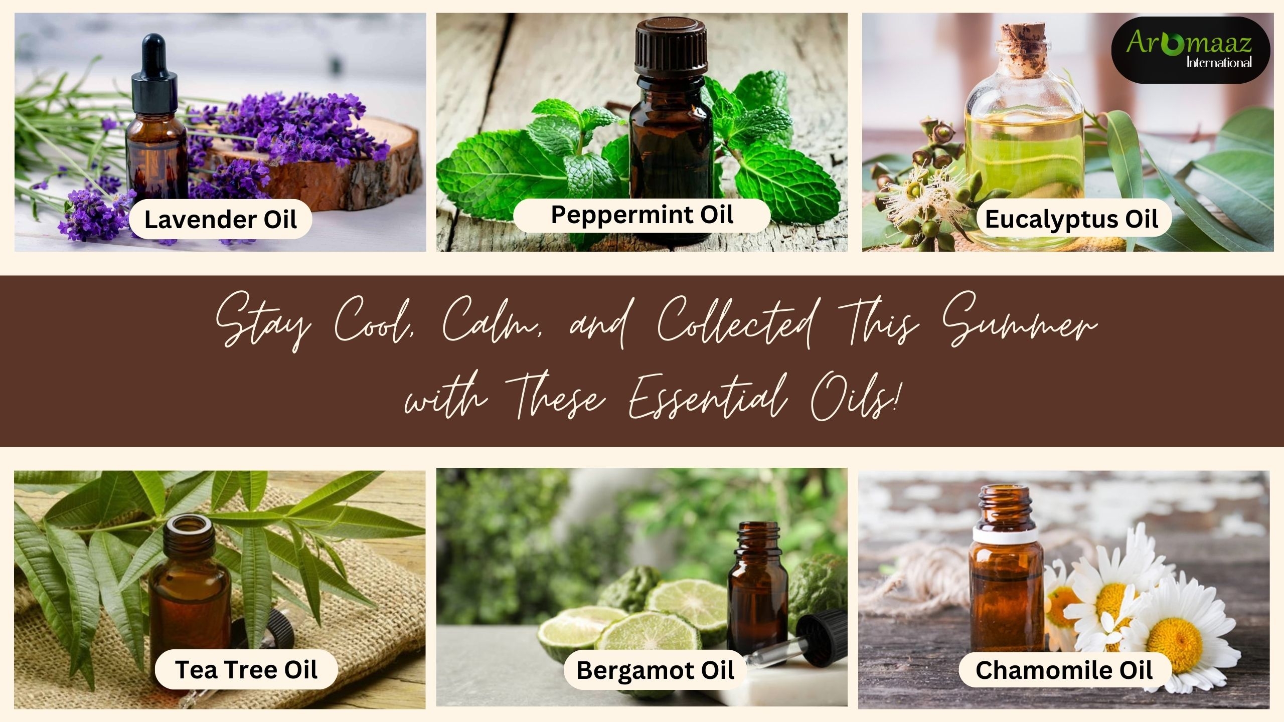 Blog - Top 10 Essential Oils for Summer- Essence of Summer!