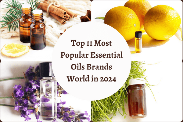 Blog - 11 Best Essential Oils Brands in the World in 2024